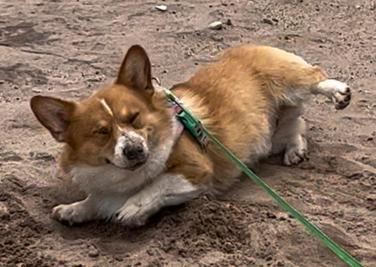 All posts by Interstella, again | Fandom