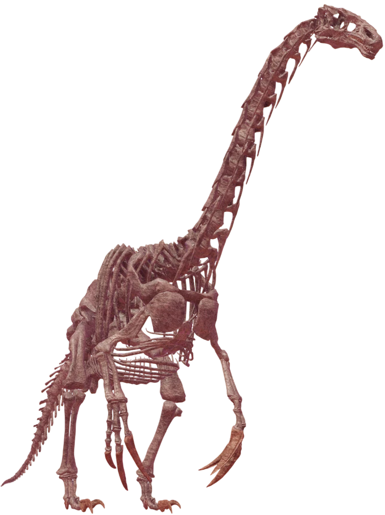 Discuss Everything About Dinosaur Simulator Wiki | Fandom