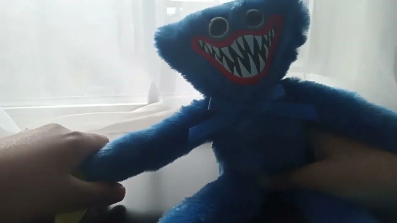 New vid about my new huggy plush since the other ripped!!! | Fandom