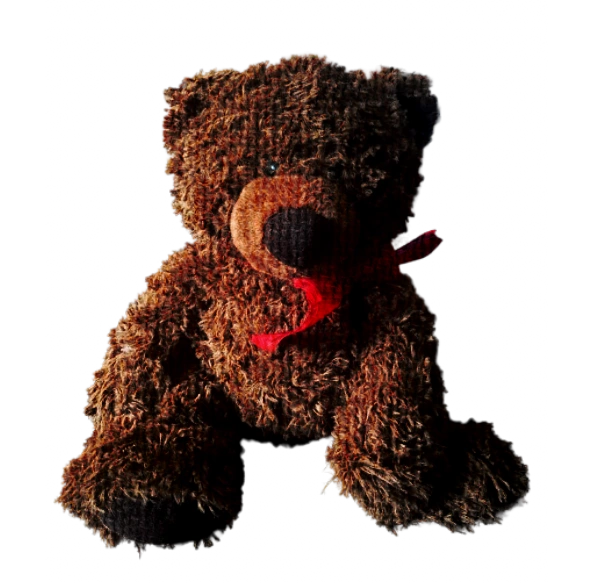 Make skins for coco bear | Fandom