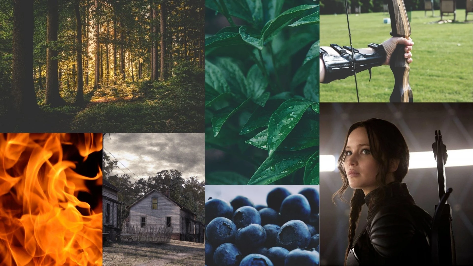 Katniss Everdeen | Fandom