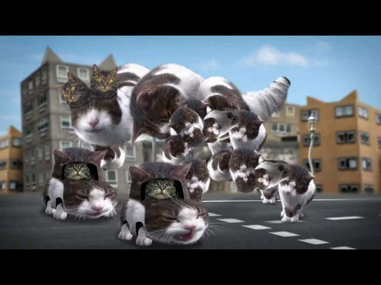 What aesthetic is “Welcome to Kitty City” ? | Fandom