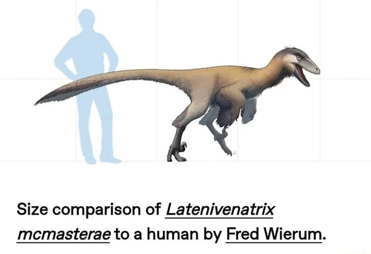 Species Profile | Fandom