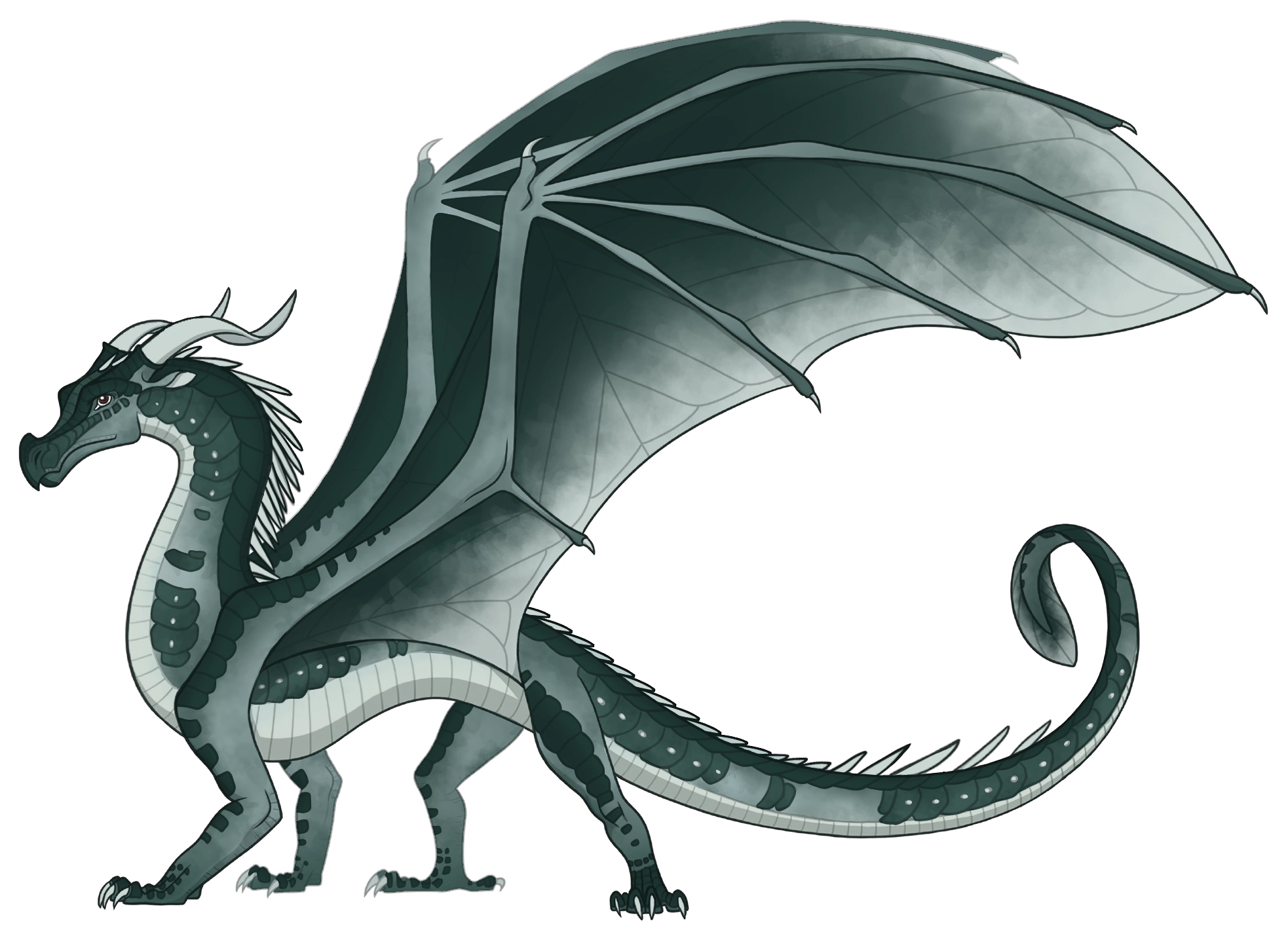 leaf/night hybrid raffle | Fandom