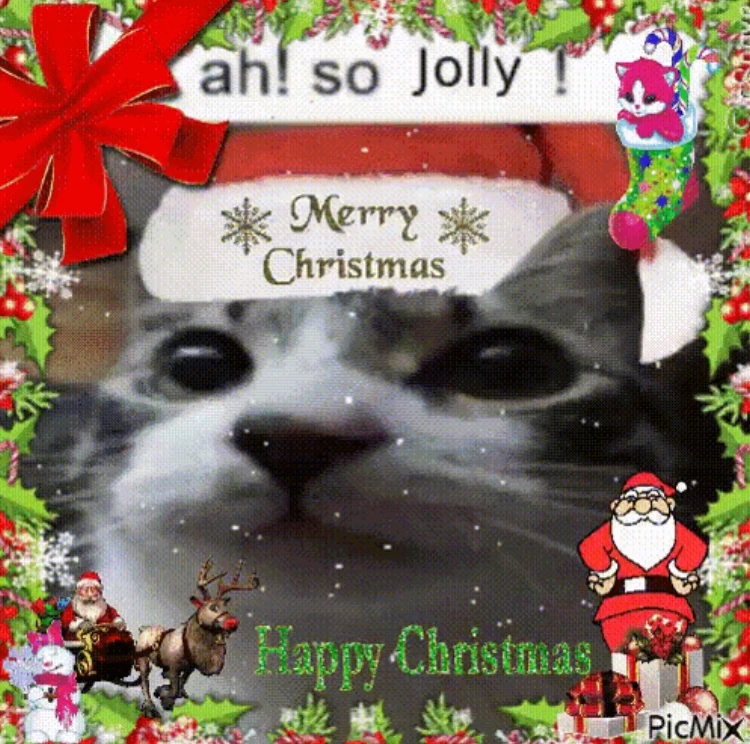 PT WIKI jolly THREAD | Fandom