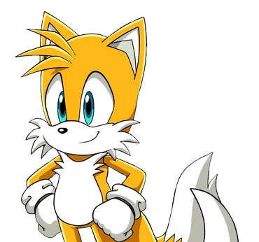 Discuss Everything About Tails and Sonic Pals Wiki | Fandom