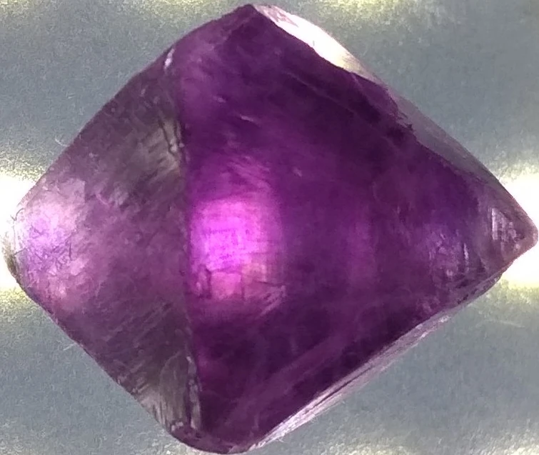 Dervish or phosphor plort? | Fandom