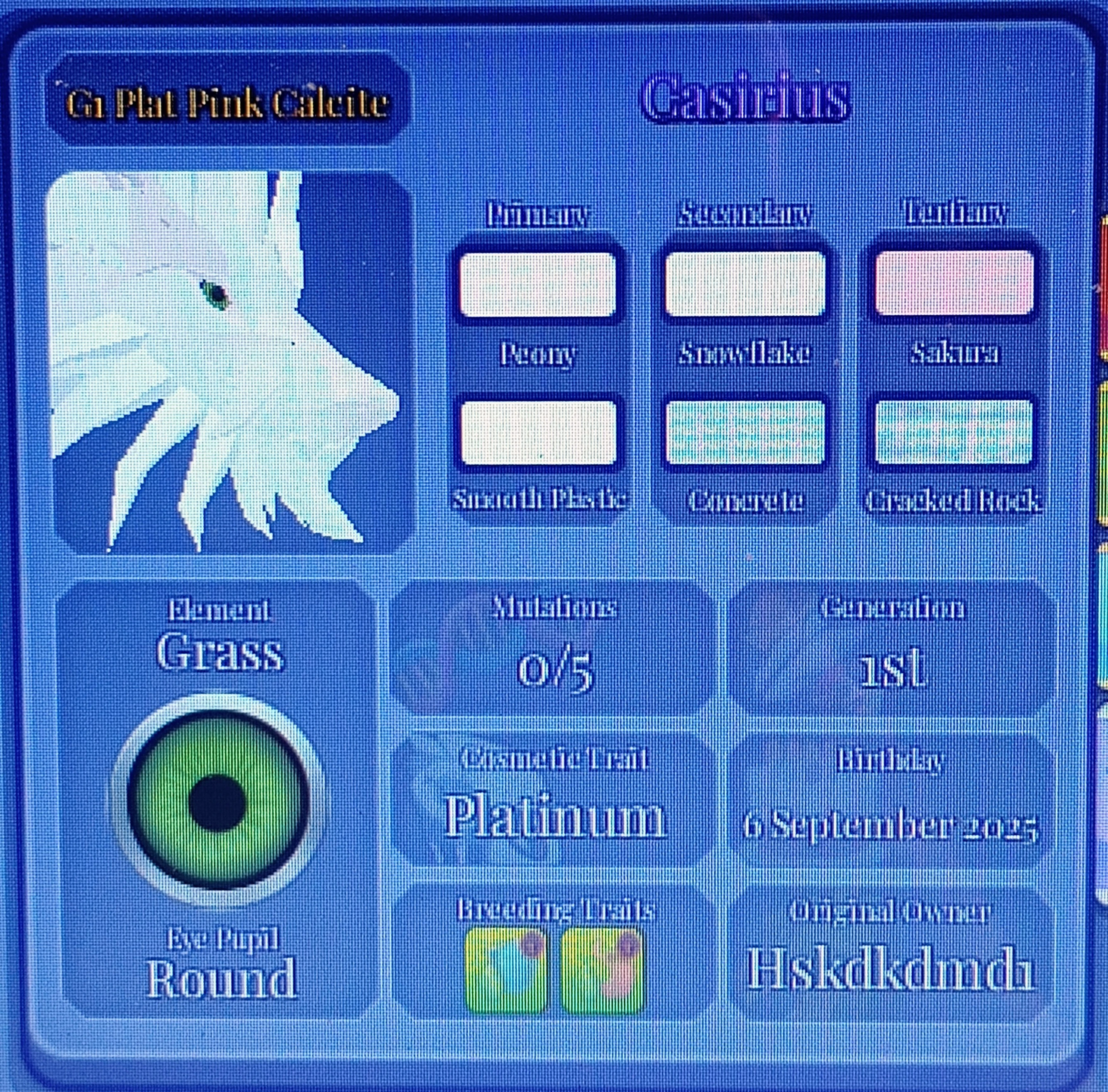 Auctioning 🐺 | Fandom