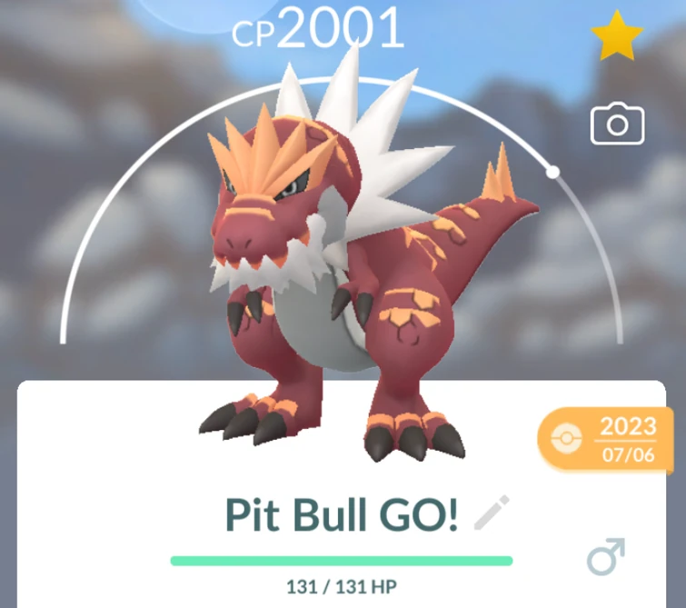 What are some weird pokémon Nicknames you gave to a pokémon | Fandom