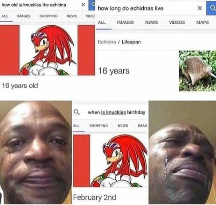 Oh no knuckles | Fandom