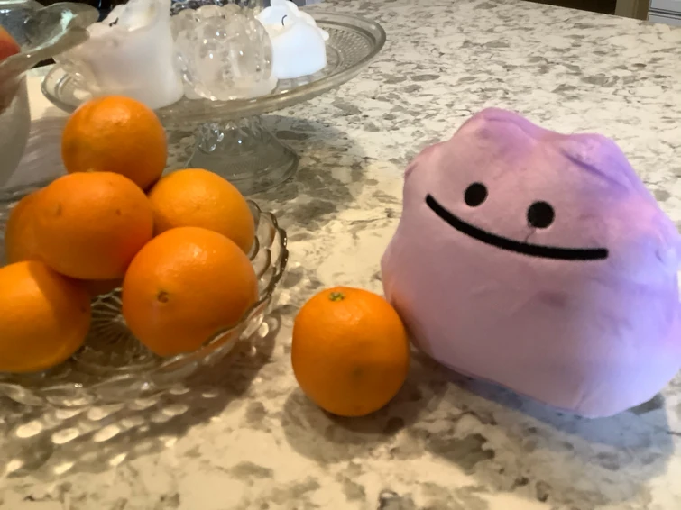 Jimmy Update: Day 1. | Fandom