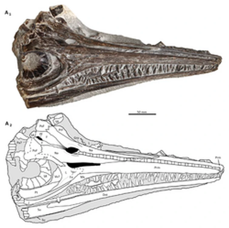 Duck Paleo news #50000000 | Fandom