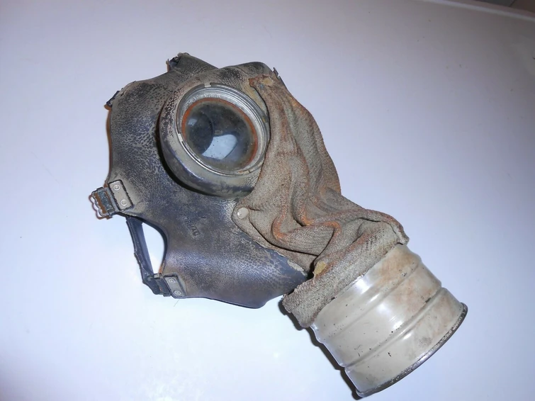 what is this mask? | Fandom