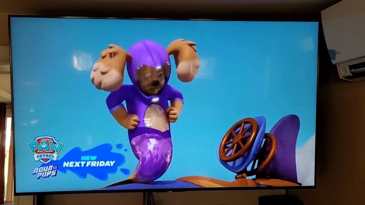 new Aqua pups promo | Fandom