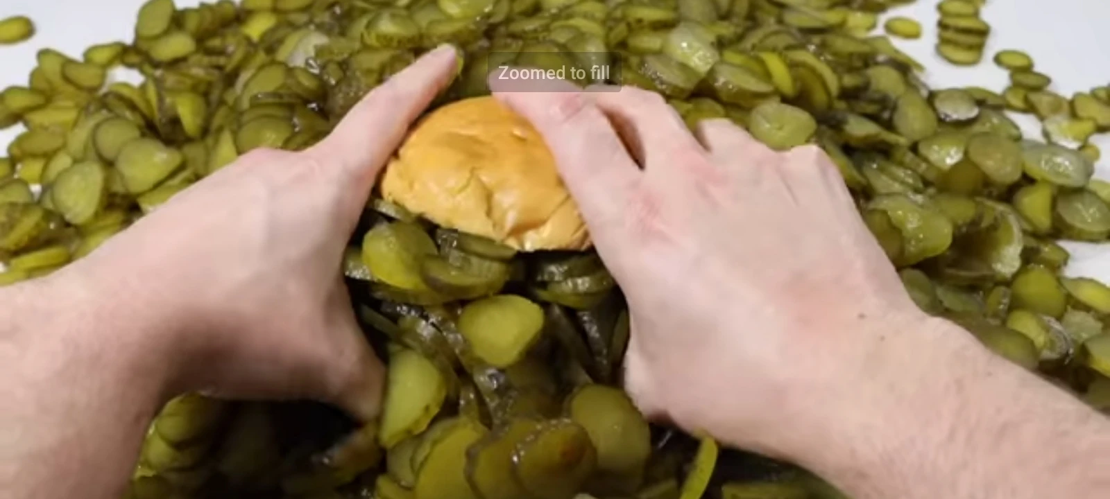 The McPickle. | Fandom