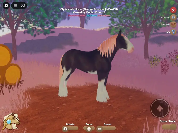 Drawing a WHI horse! | Fandom