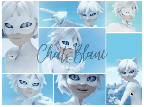 Chat Blanc | Fandom