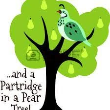 Me When Bad Stands (Trading) | Fandom