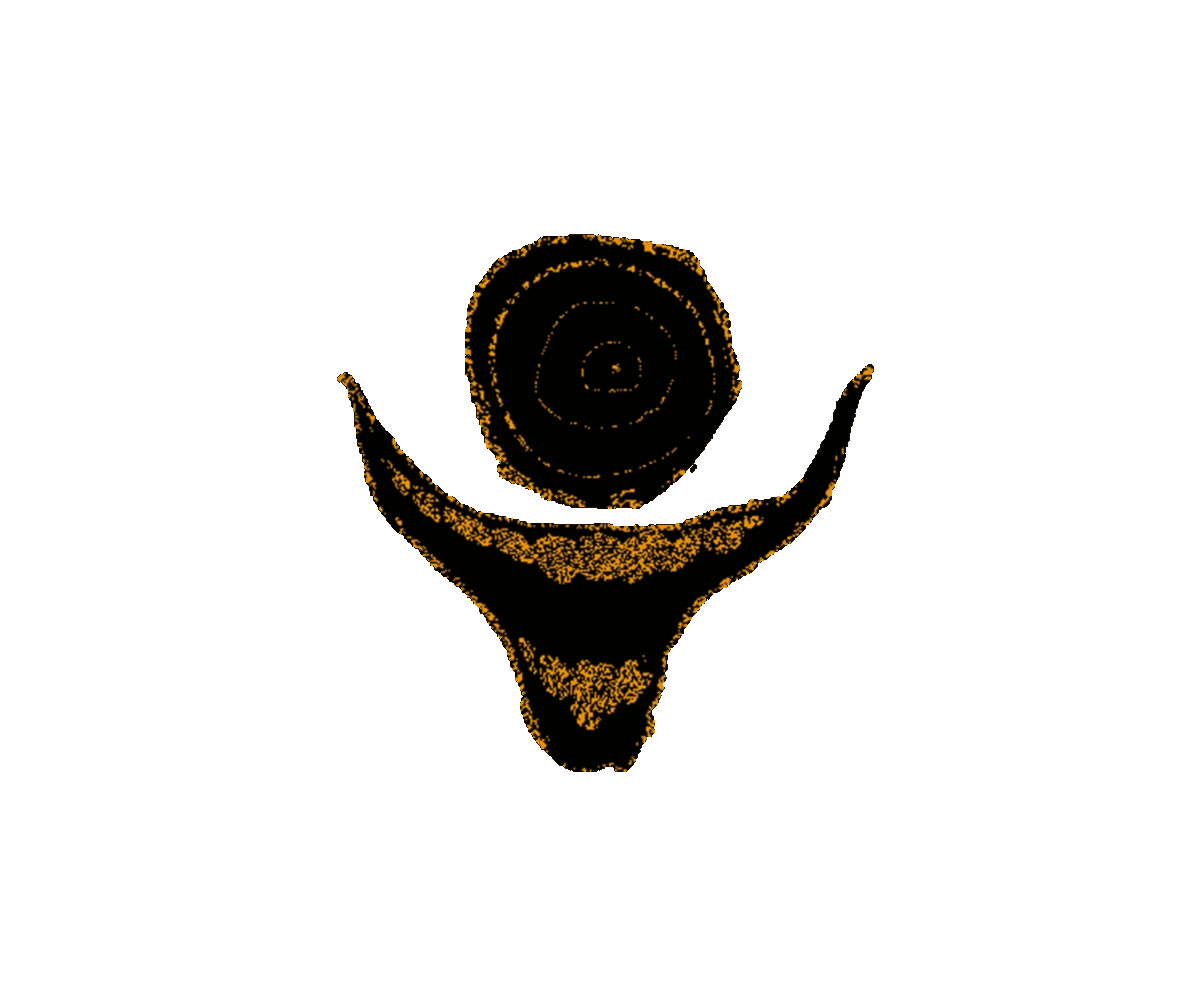 new animation for CYK-150? | Fandom