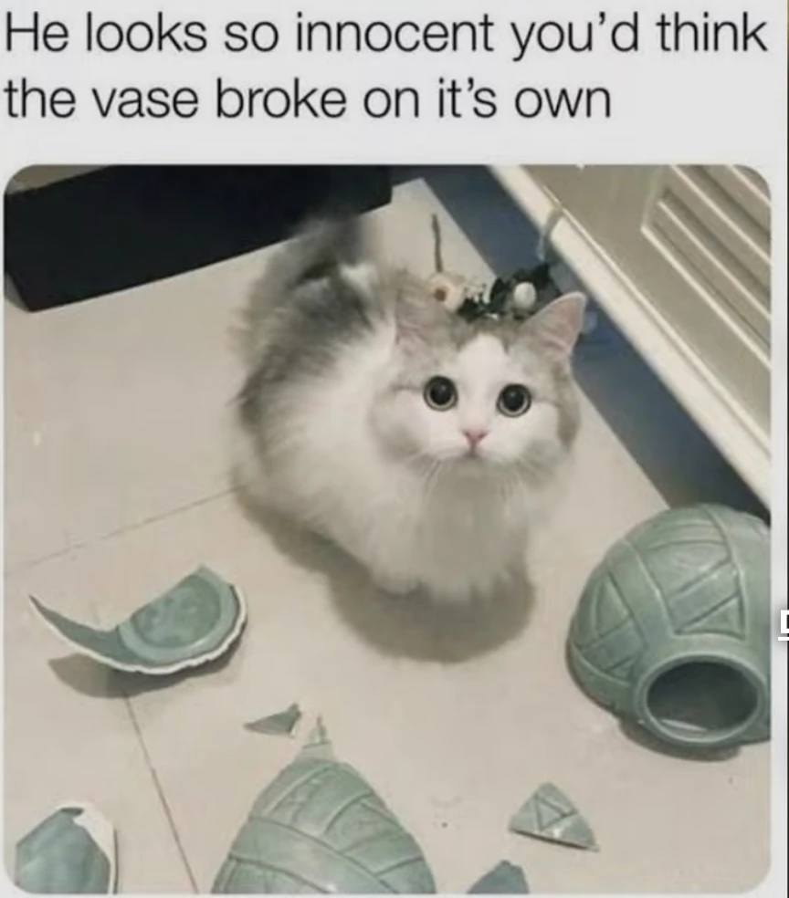 Is he guilty? | Fandom