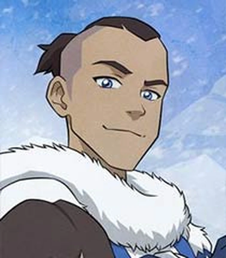 Avatar The Last Airbender: Echoes and Aftershocks Cast | Fandom