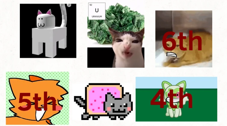 silly cat image viewer voting epic battle 4 | Fandom