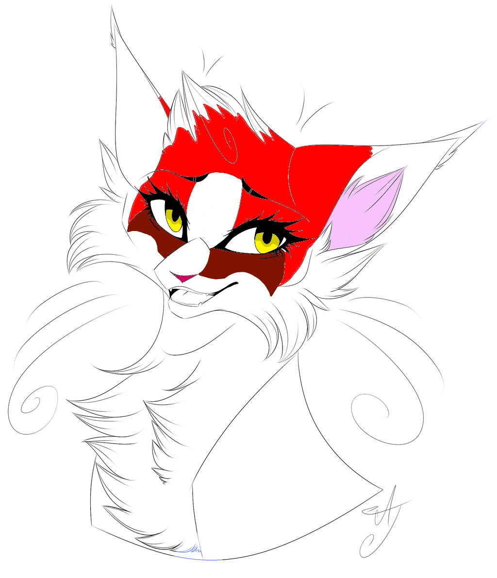 For those Warriors Cats fans out there | Fandom