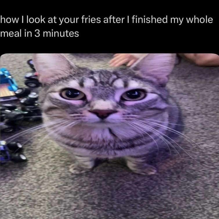 LF ANY GEN 1 THEMED VULP | Fandom