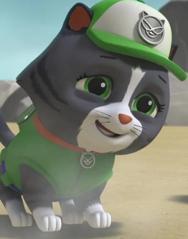 Cat Rocky and Cat Zuma's eye color change to Rocky and Zuma's eye ...