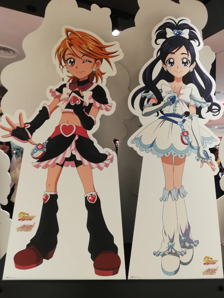 Yes! Pretty Cure 5 GoGo! Members' stands set in Pretty Store Shibuya today! | Fandom