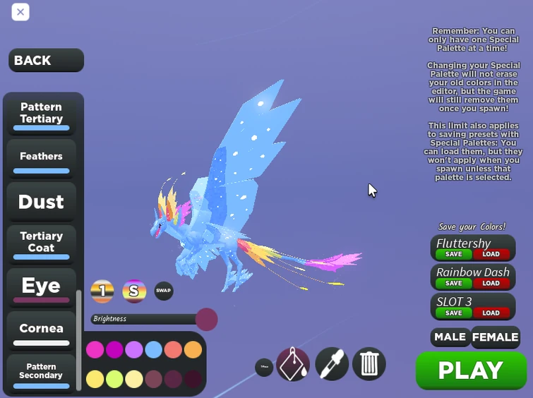 Rainbow dash veldys | Fandom