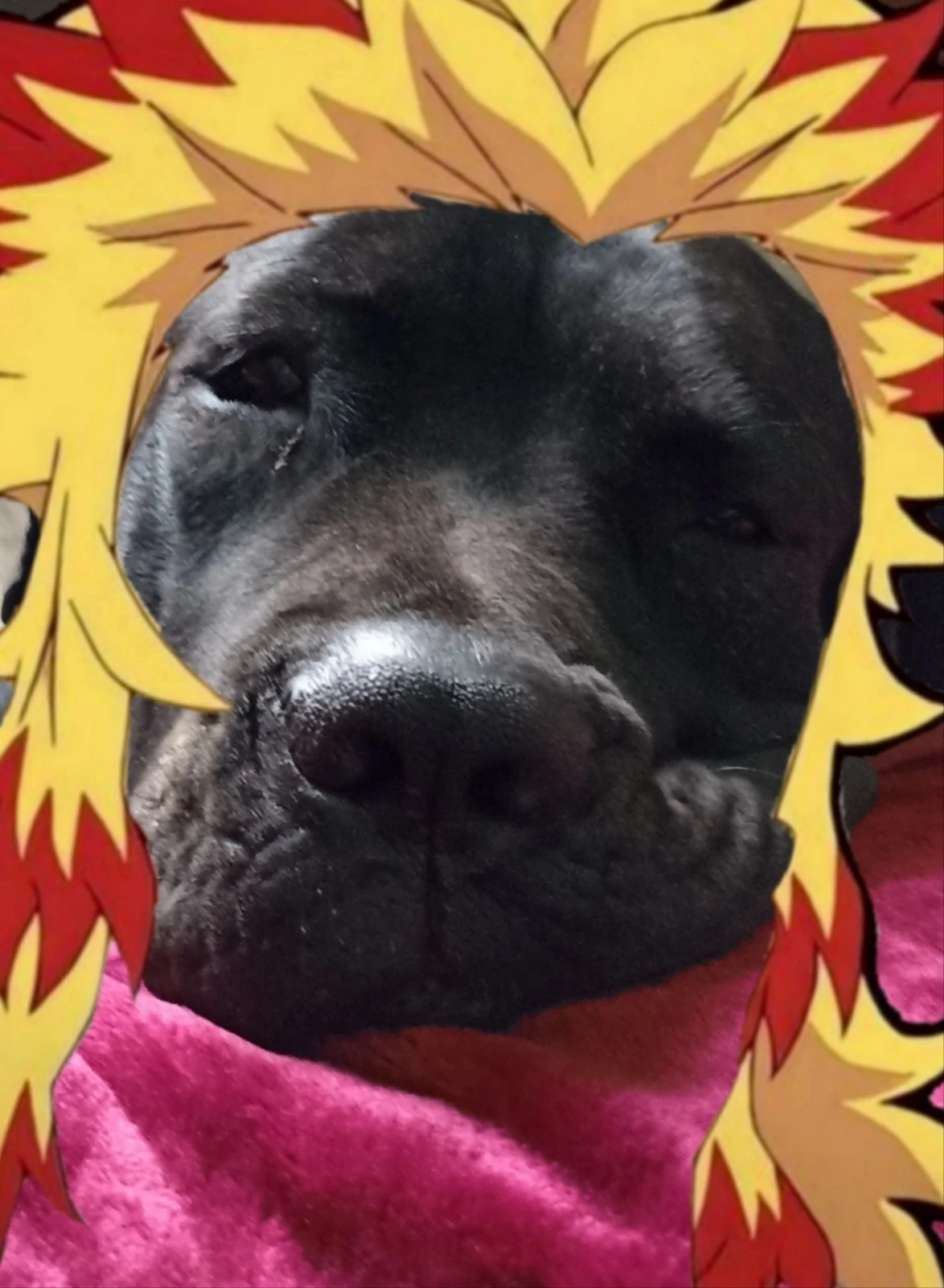 Dog reveal, but he is rengoku | Fandom