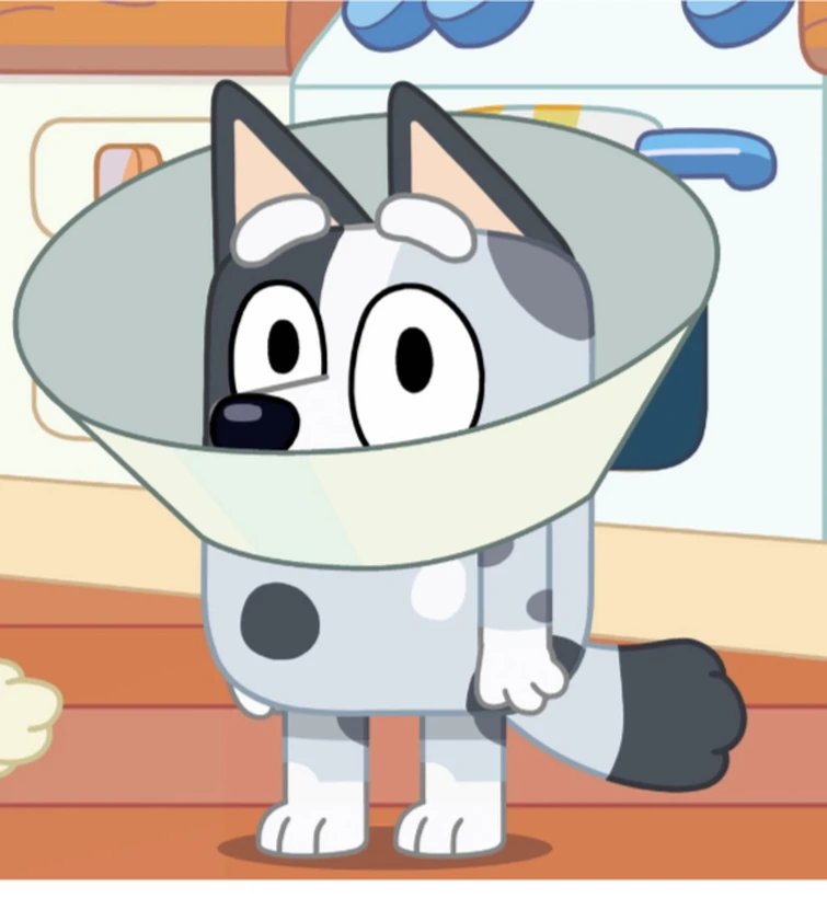 Discuss Everything About Bluey Wiki | Fandom