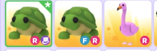 Once again trading my 2 turtles and flamingo | Fandom