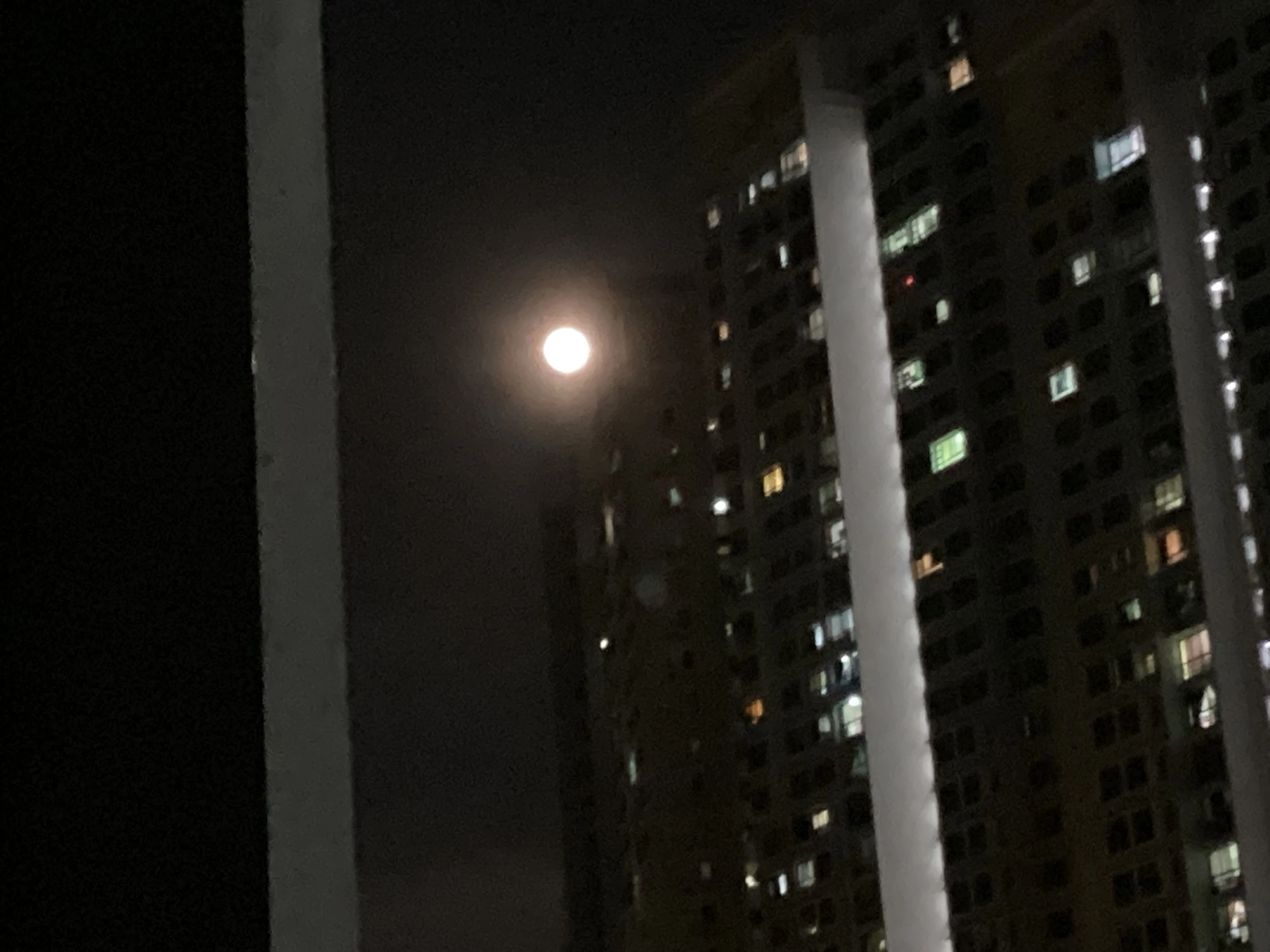 goodnight chat | Fandom