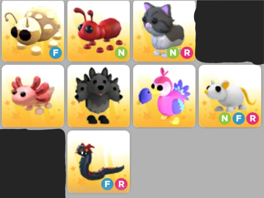 Best pet I can get? | Fandom