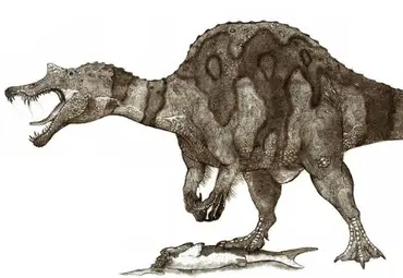 Daspletosaurus vs Sigilmassasaurus | Fandom