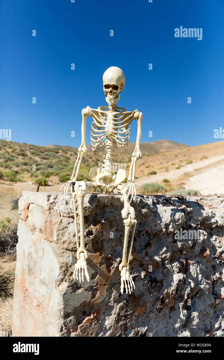 Name a more aggressive character then it | Fandom