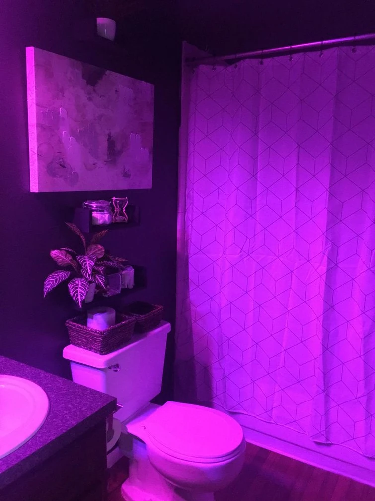 Why is it so difficult to find some inspiration or a tutorial for a grunge/emo style house 😩 ...