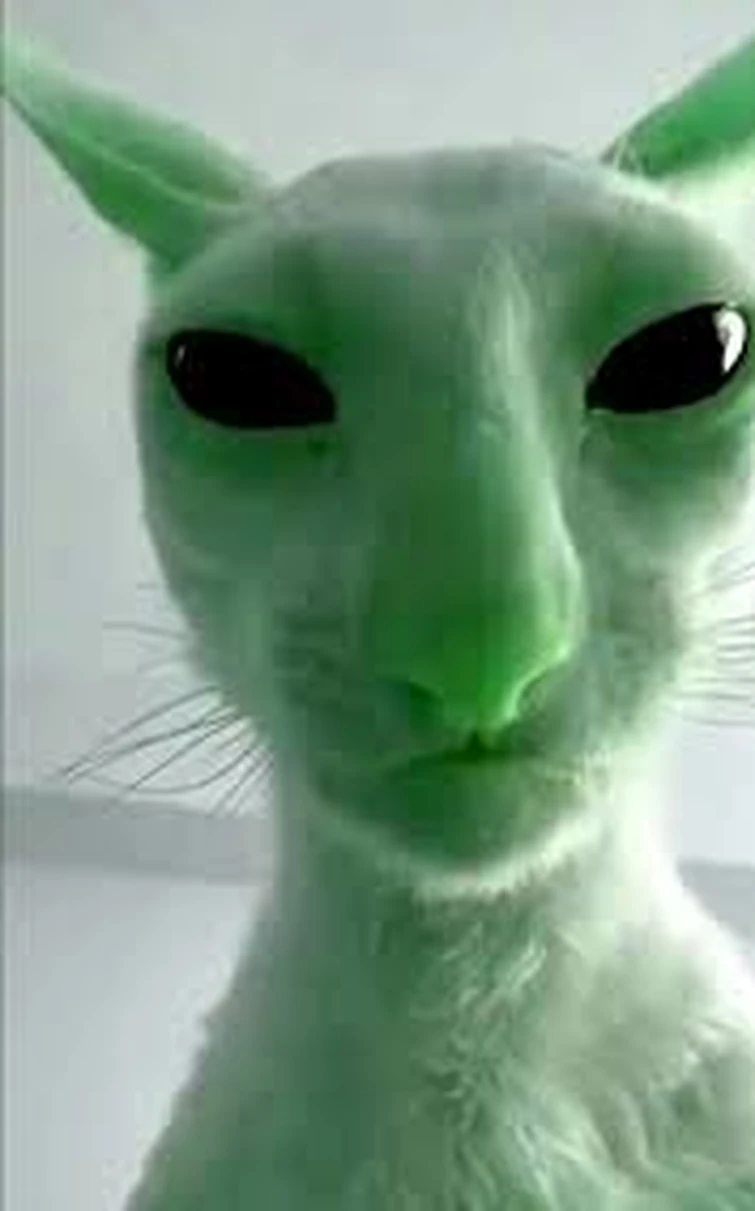 Light mode: | Fandom