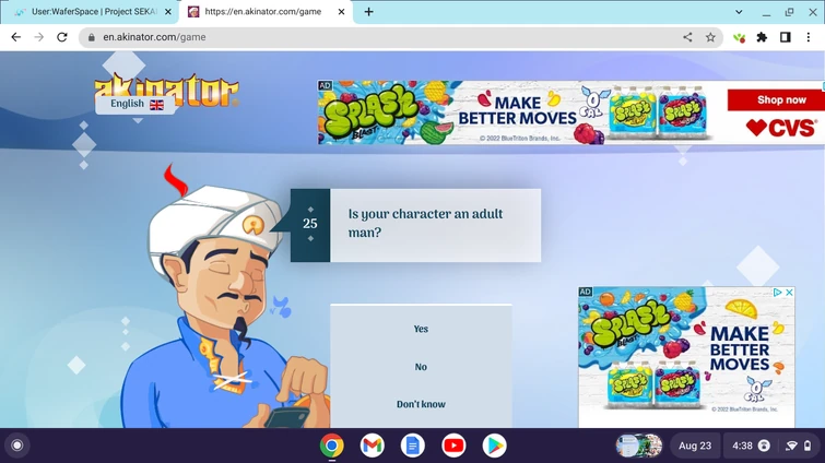 trying out characters on akinator | Fandom
