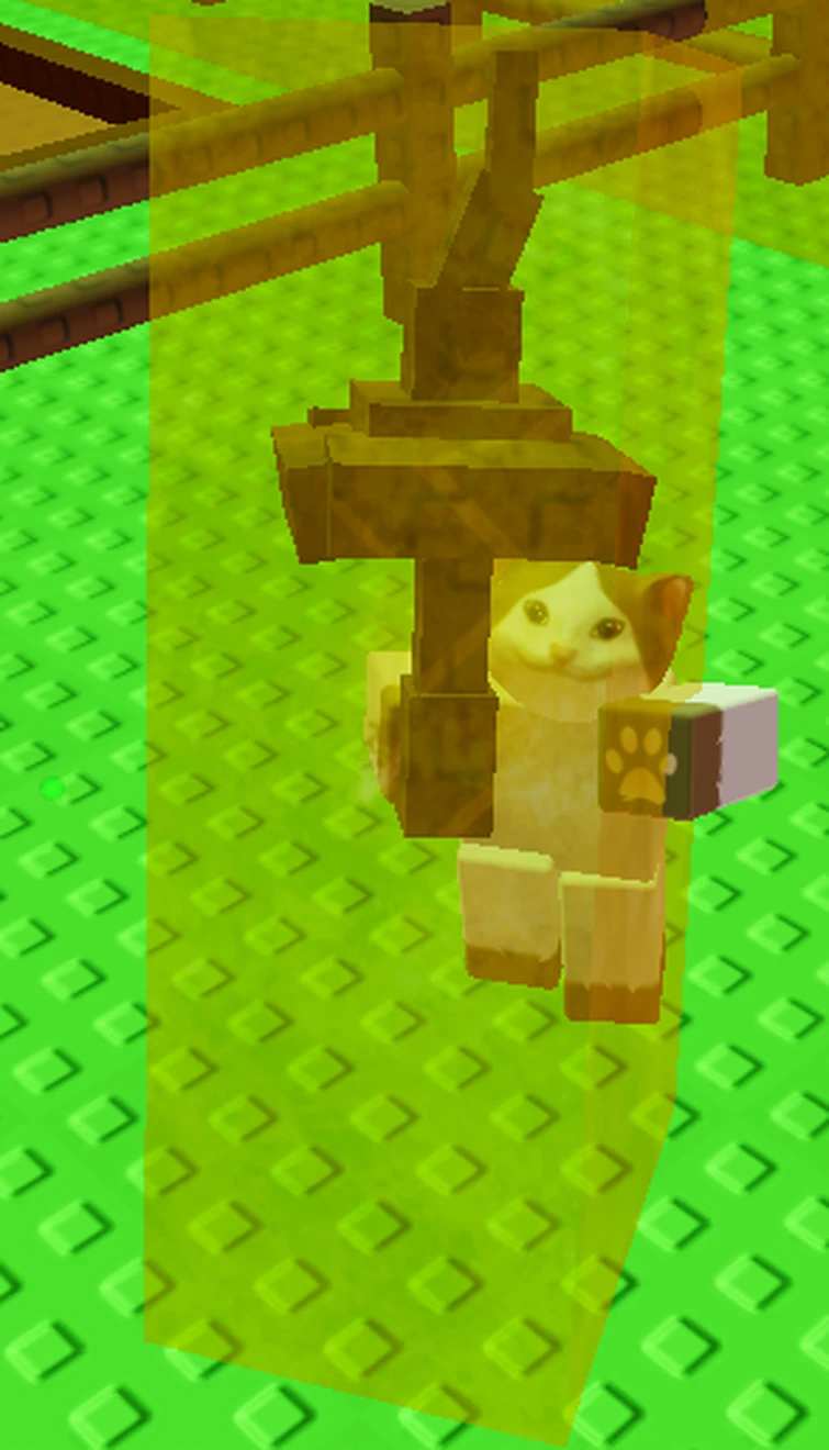 GUYS THERE'S SOMETHING WRONG WITH RACCOON ABILITY | Fandom