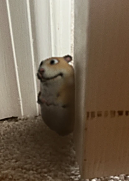 Find the chomiks before the chomiks find you | Fandom