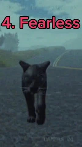 Since Eyebleed has been removed from the wiki, shouldn't the Top 5 ...