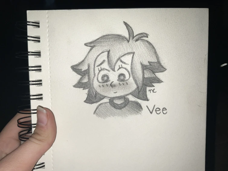 VEE FANS ASSEMBLE!! I give you this… (Weekly art) | Fandom