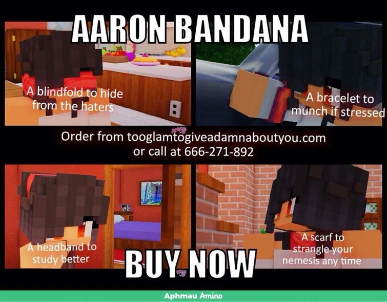 Here have my collection of Aphmau memes | Fandom