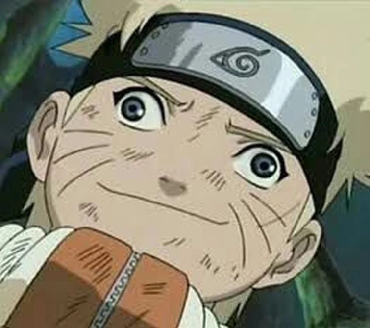 Canon Naruto Experience | Fandom