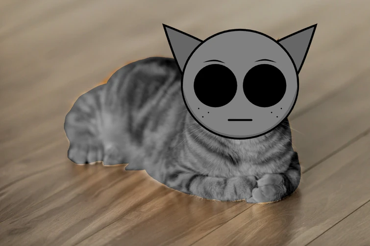give me a cat image I'll make it gray | Fandom