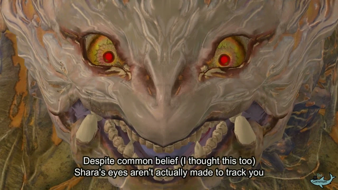 Tea Common Shark Monster Hunter Trivia | Fandom