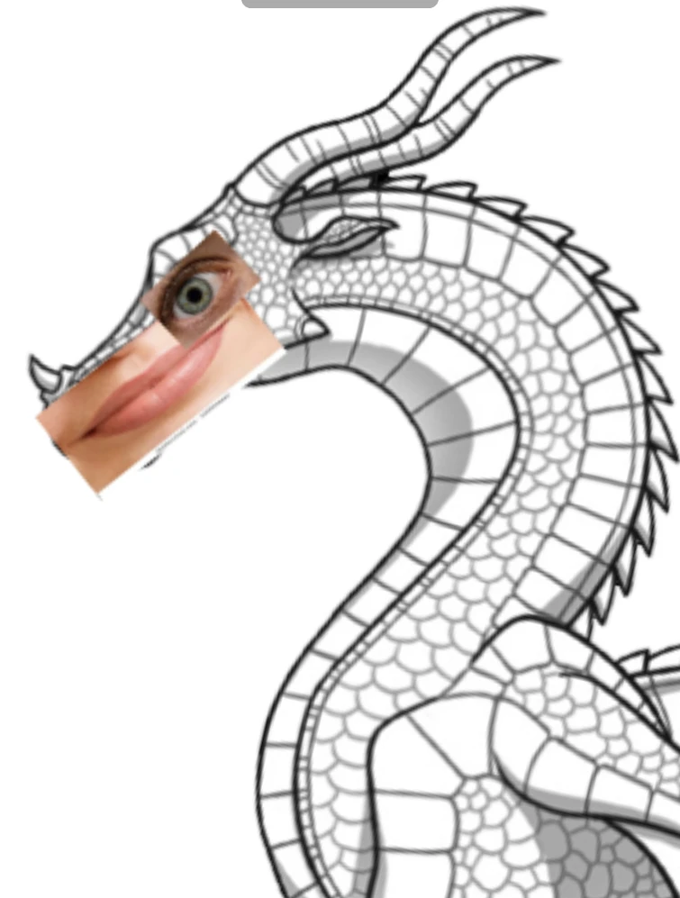 Oh no (tw maybe eye contact? Cursed picture | Fandom